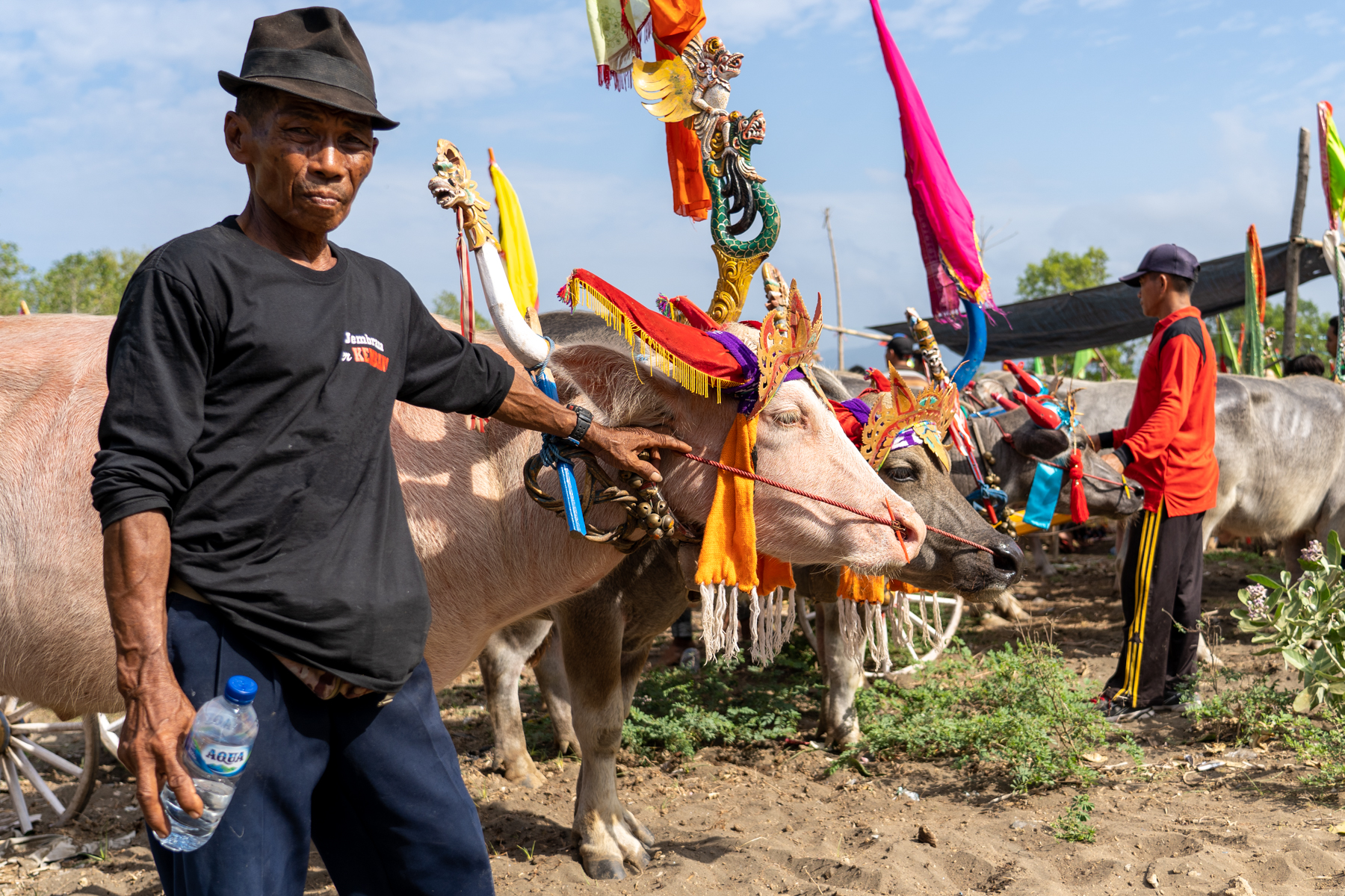 Bali – Bulls Race Makepung Negara – Michael Paramonti Fotografie