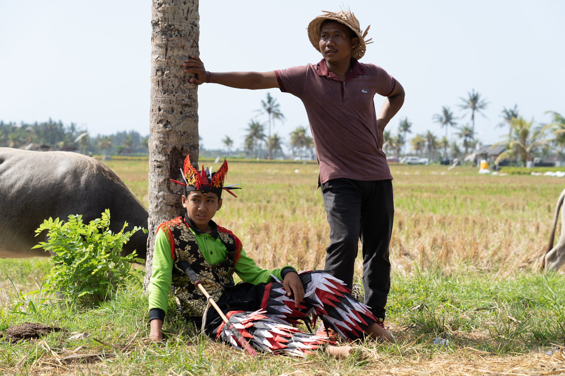 Bali – Bulls Race Makepung Negara – Michael Paramonti Fotografie